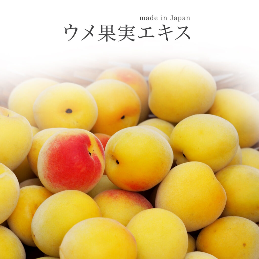 コントロールオイル - RACOURI